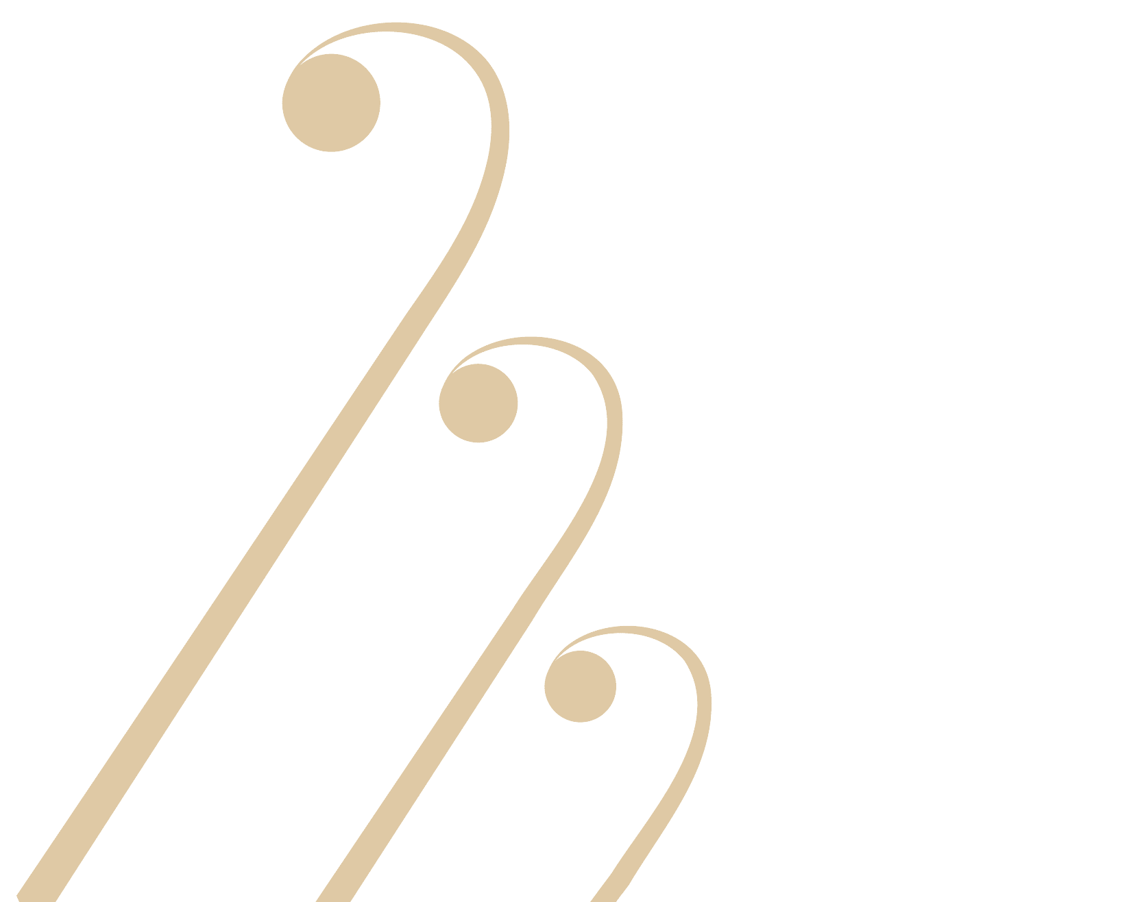 The George Foundation | Tūpore